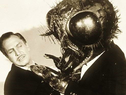The Fly **** (1958, David Hedison, Patricia Owens, Vincent Price ...
