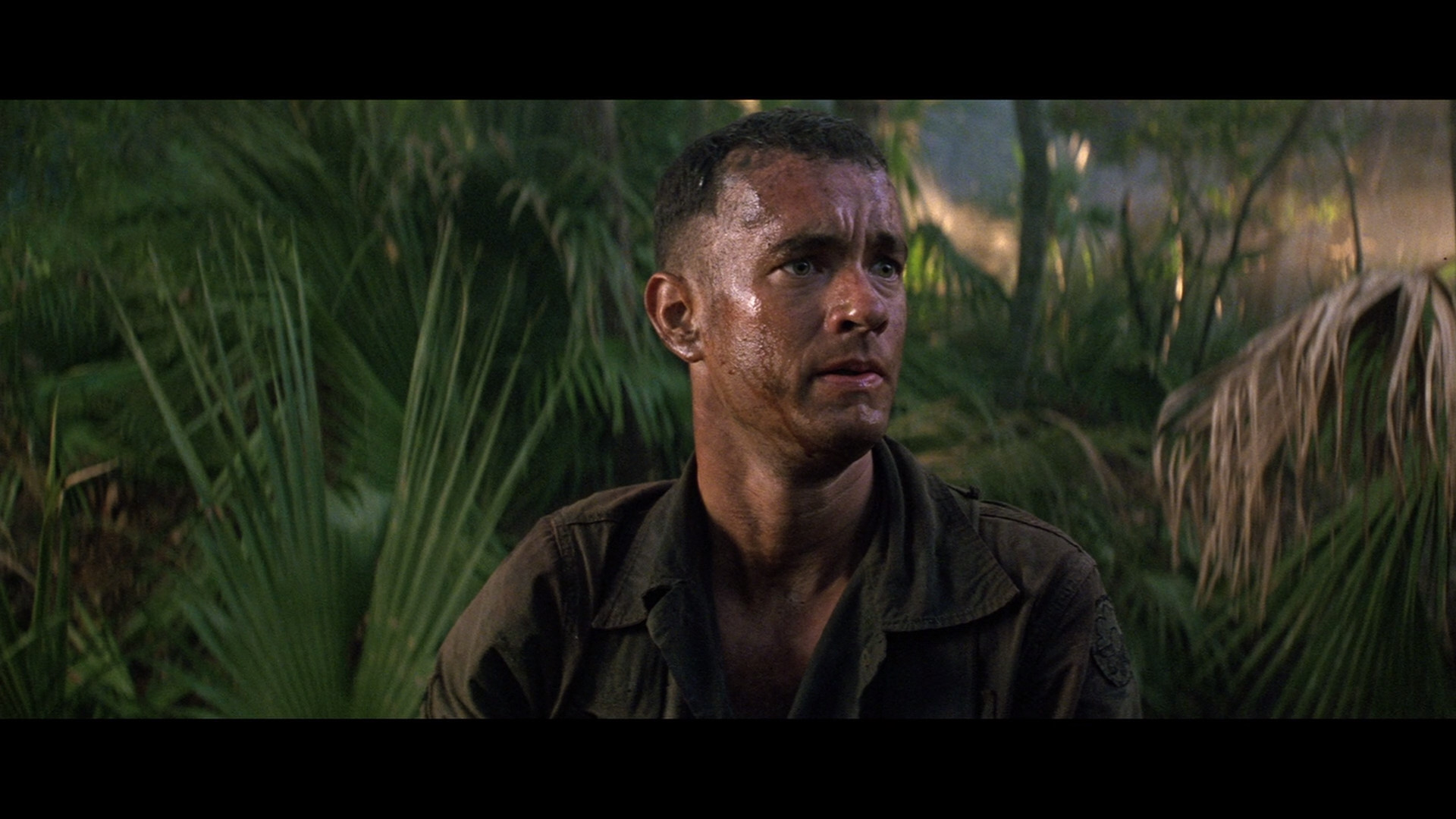 Forrest Gump ***** (1994, Tom Hanks, Robin Wright, Gary Sinise, Sally ...