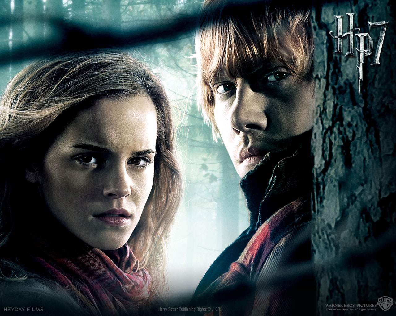 Harry Potter and the Deathly Hallows: Part I ***** (2010, Daniel ...