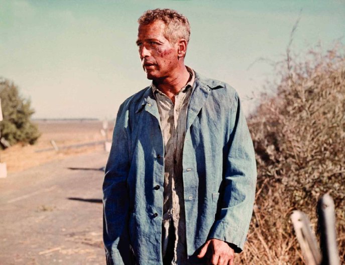 Cool Hand Luke ***** (1967, Paul Newman, George Kennedy, Strother ...