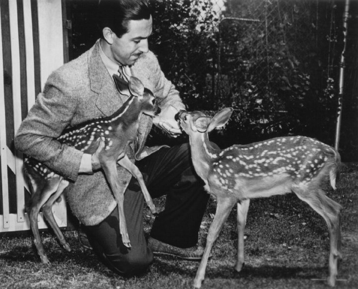 Bambi **** (1942, Walt Disney) – Classic Movie Review 1415 | Derek Winnert