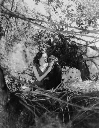 Tarzan, the Ape Man **** (1932, Johnny Weissmuller, Maureen O’Sullivan ...