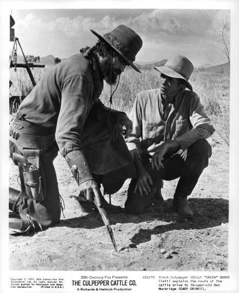 The Culpepper Cattle Co **** (1972, Gary Grimes, Billy Green Bush, Luke ...