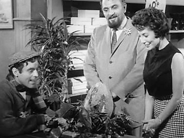 The Little Shop of Horrors **** (1960, Jonathan Haze, Jackie Joseph ...