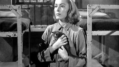 Caged **** (1950, Eleanor Parker, Agnes Moorehead, Ellen Corby, Hope ...